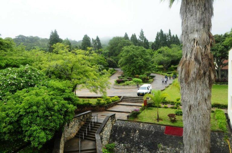 IMG-20190209-WA0013 | Mutare Boys High School Old Boys Association